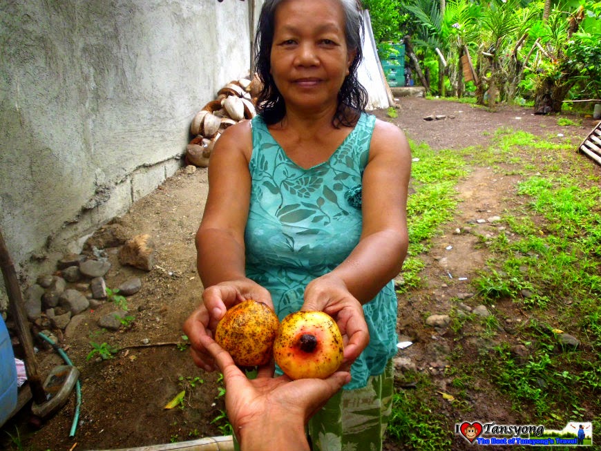 🍋 Pomegranate Fruit AKA Granada Fruit - My First Time In Marinduque ...